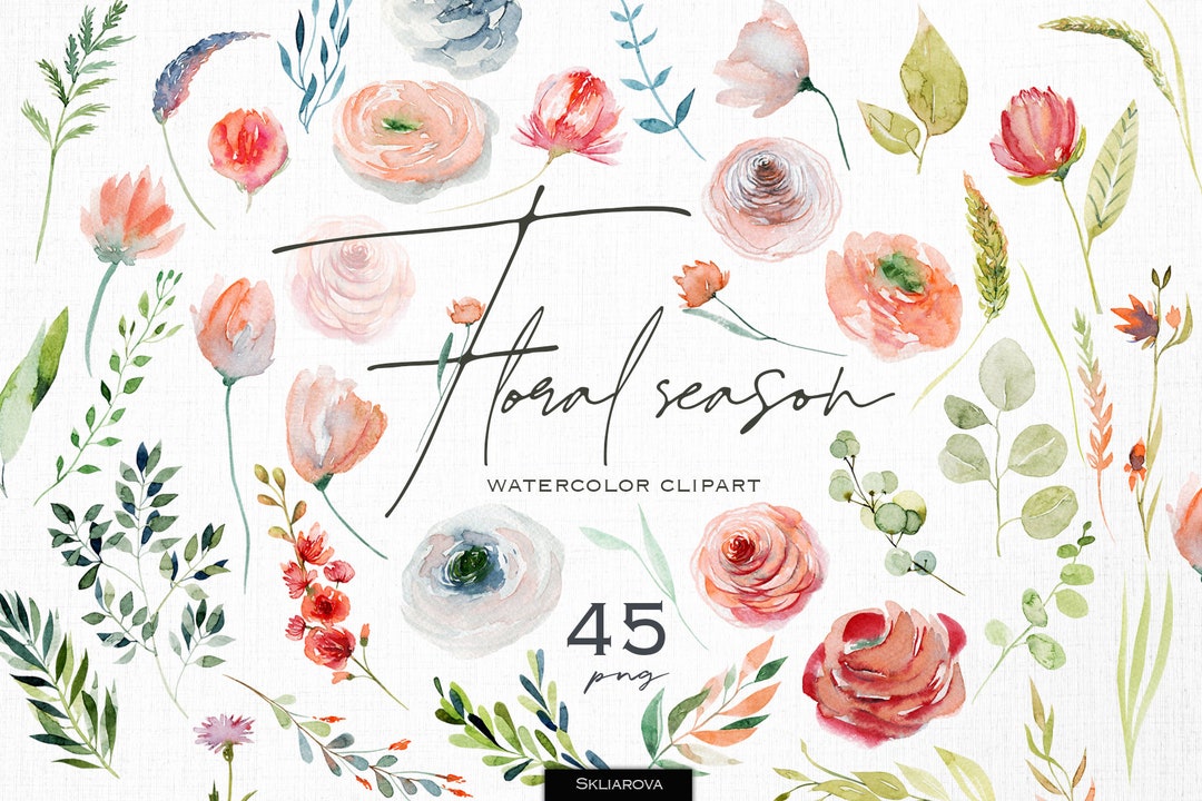 Watercolor Spring Flower Clipart White Pink Roses Flowers Digital Clip ...