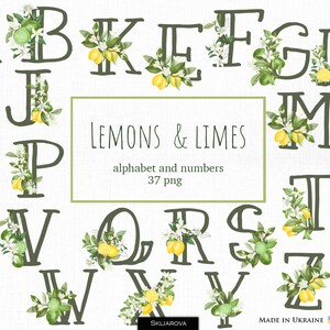 Lemon Alphabet Clipart ABC Clip Art Floral Letters and Numbers Lime ...
