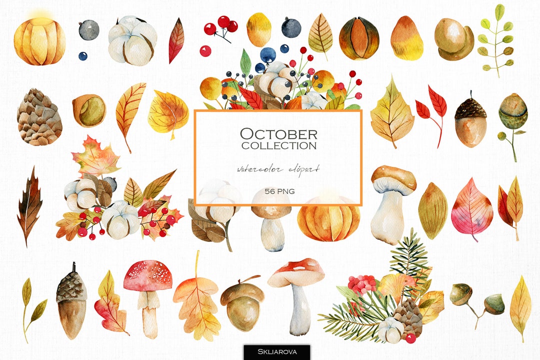 Fall Clipart Watercolor Autumn Clip Art Bouquet Forest Plants Mushroom ...