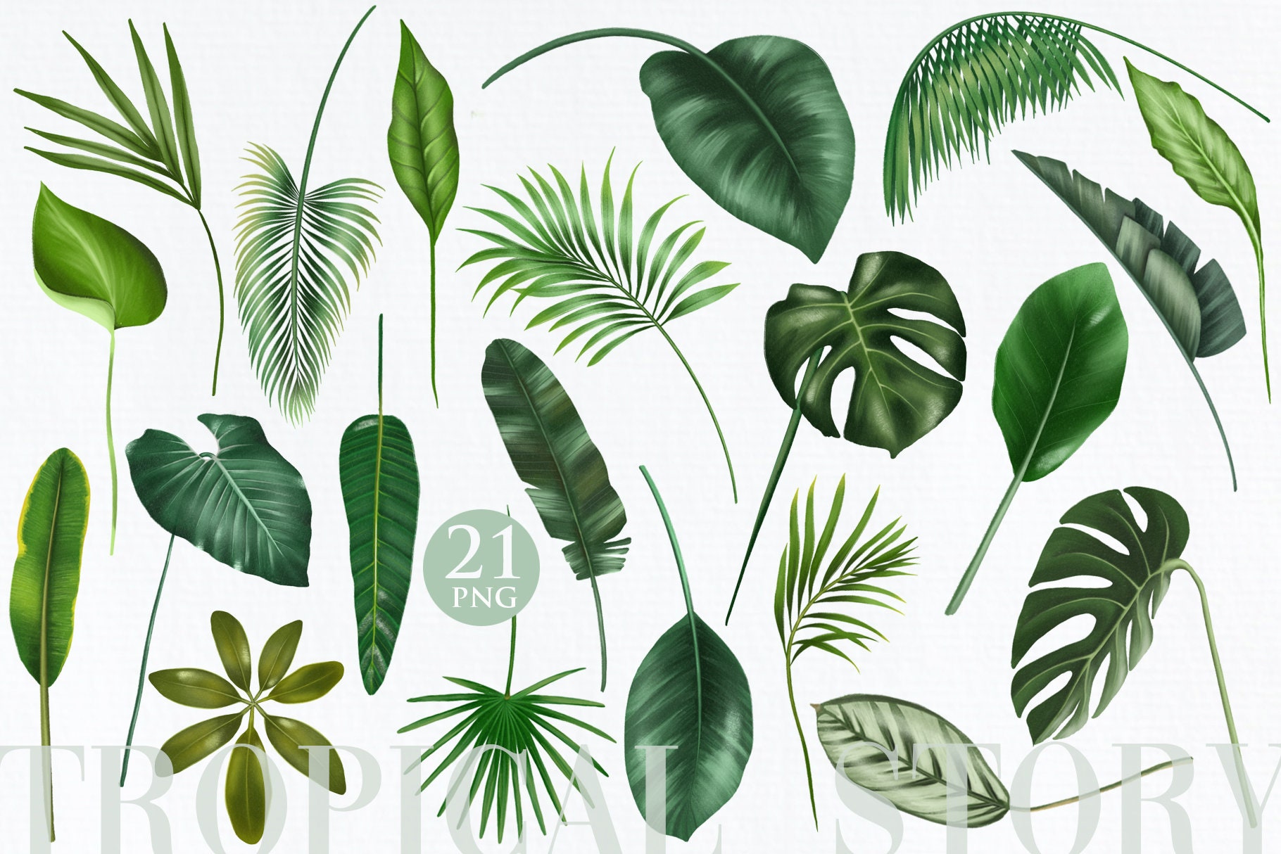 Tropical Leaves Clipart Greenery Clipart Summer Clipart Green - Etsy