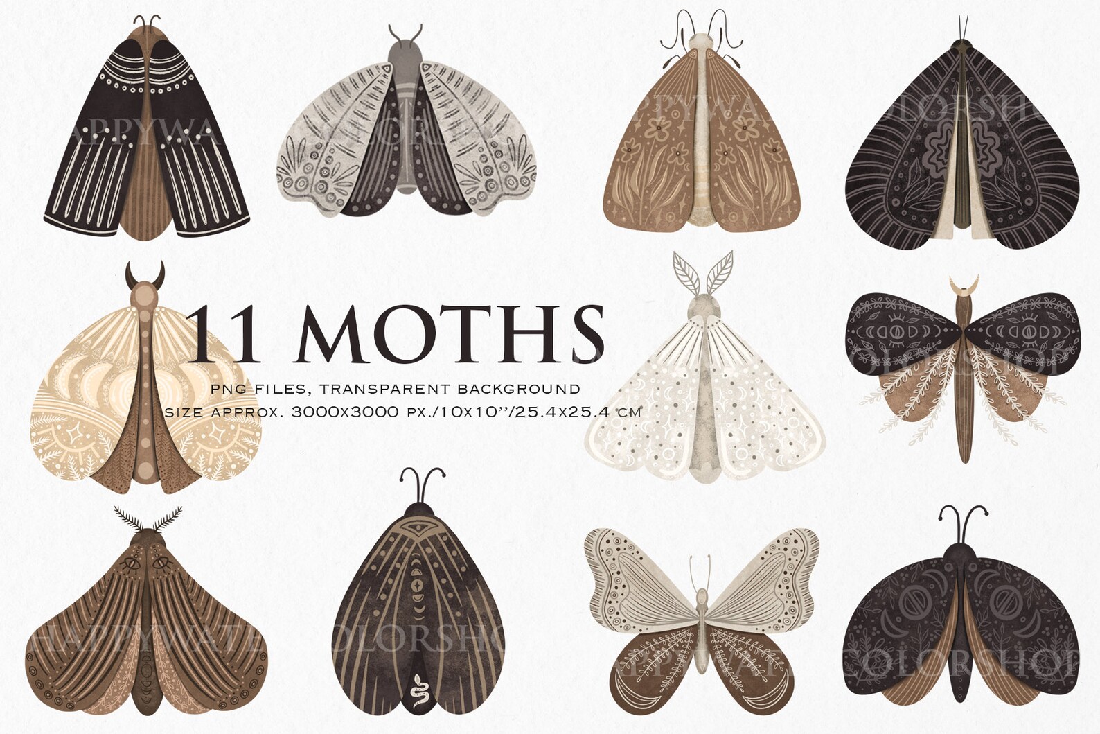 Moth Clipart Butterfly Clipart Boho Clipart Moth Png Butterfly | Etsy
