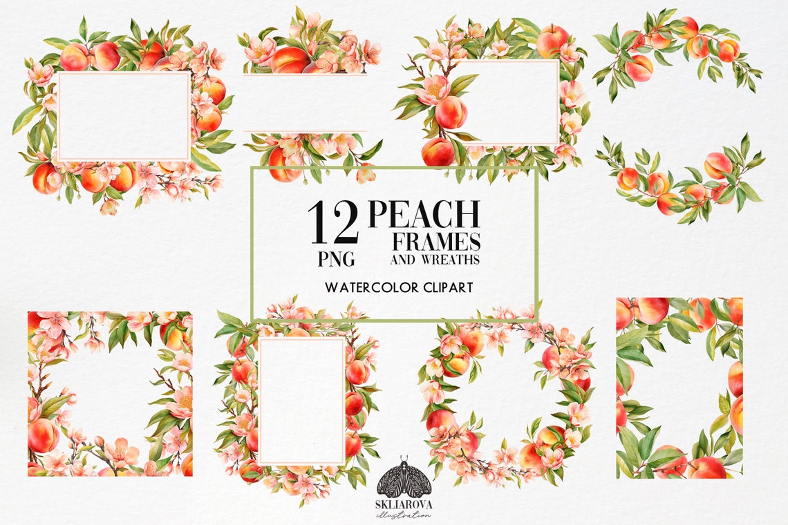 Peach Watercolor Clipart: Fruit Botanical Frames and Wreaths (12 PNG ...