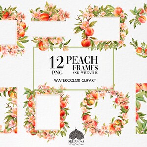 Peach Watercolor Clipart: Fruit Botanical Frames and Wreaths (12 PNG ...