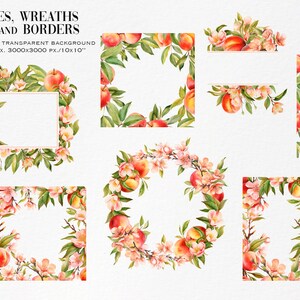 Peach Fruit Frame Clipart Watercolor Peach Tree Branches Leaves Peach ...