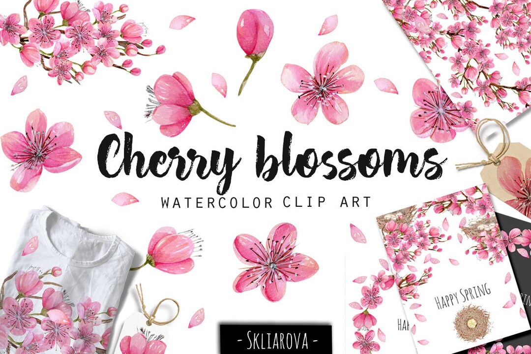 Watercolor Cherry Blossom Clipart Spring Blooming Sakura Clip Art ...