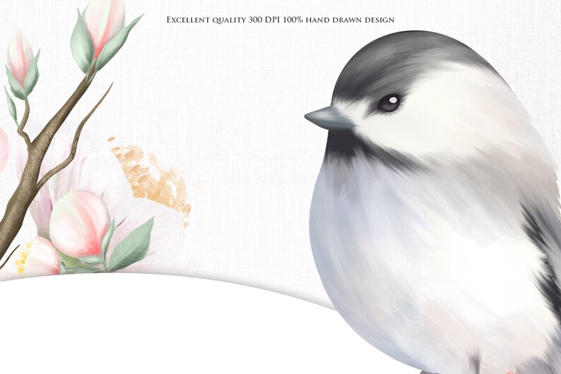 Spring Floral Frame Spring Bird Png Easter Frame Clipart - Etsy