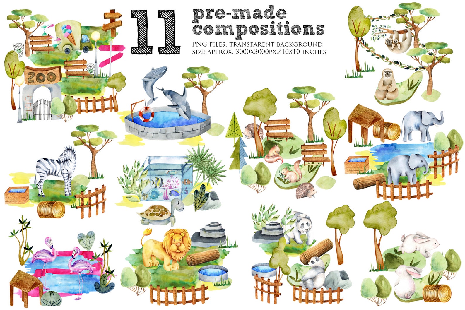 Zoo Animal Clipart Zoo Png Watercolor Zoo Watercolor Animals - Etsy