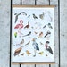 Bird Alphabet Poster - Etsy