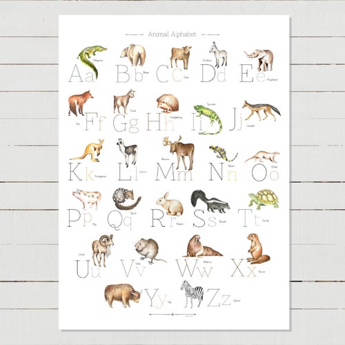 Animal Alphabet Poster - Etsy