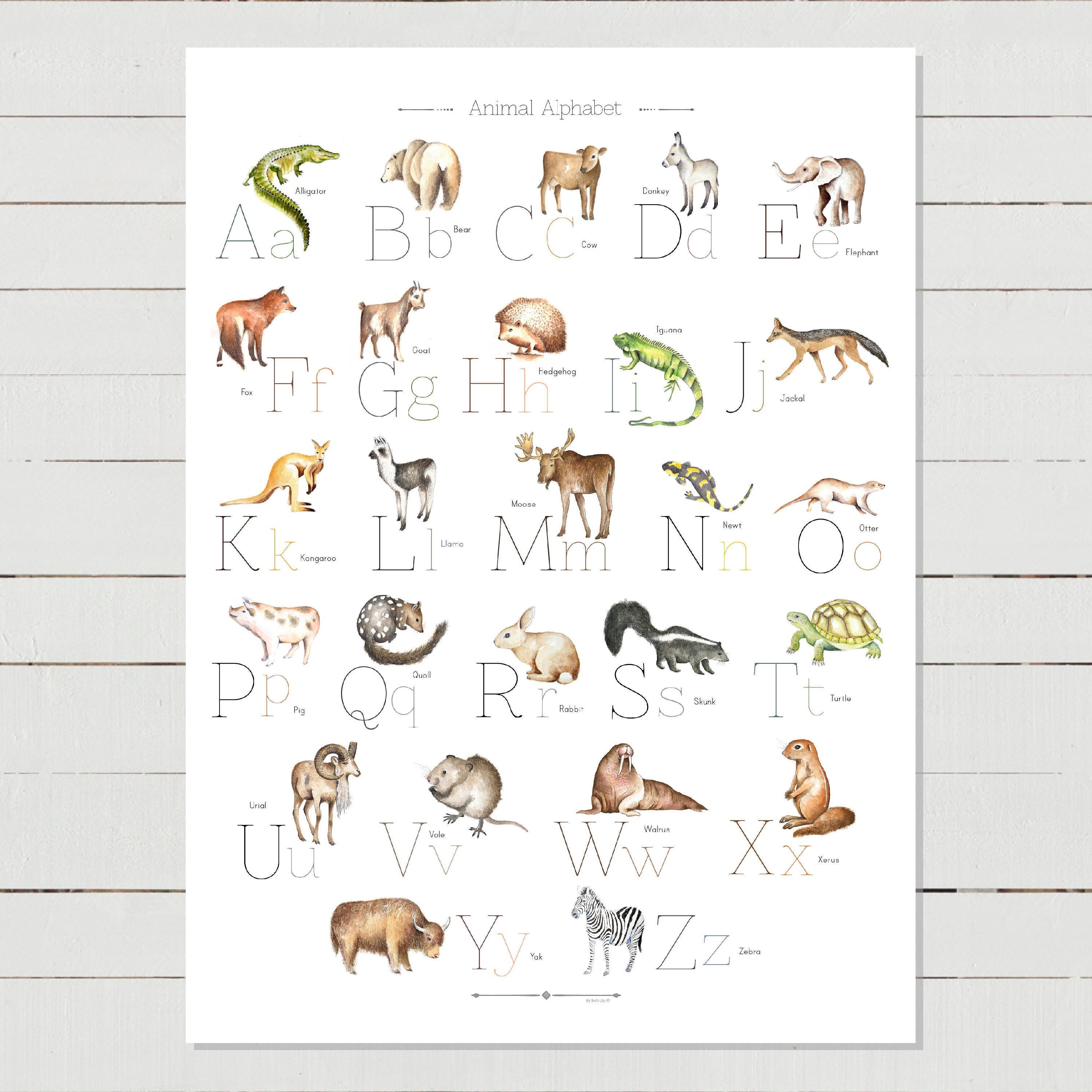 Animal Alphabet Poster - Etsy