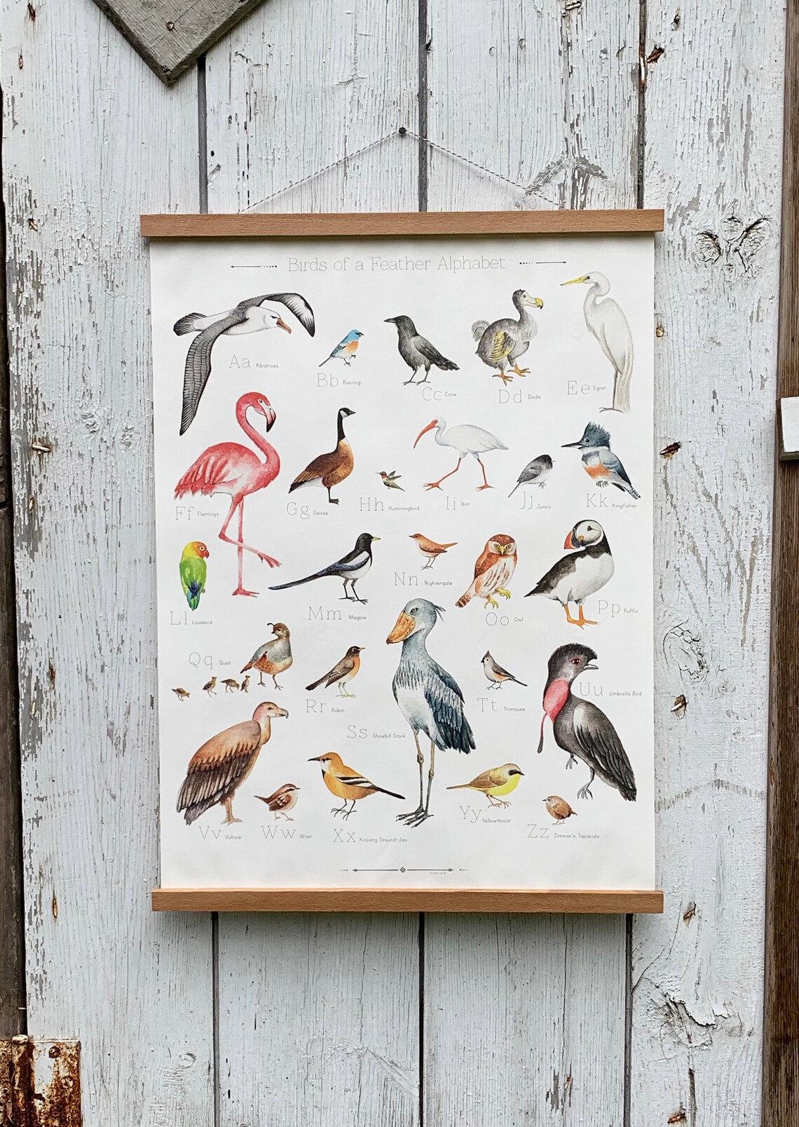 Bird Alphabet Poster - Etsy
