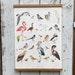 Bird Alphabet Poster - Etsy