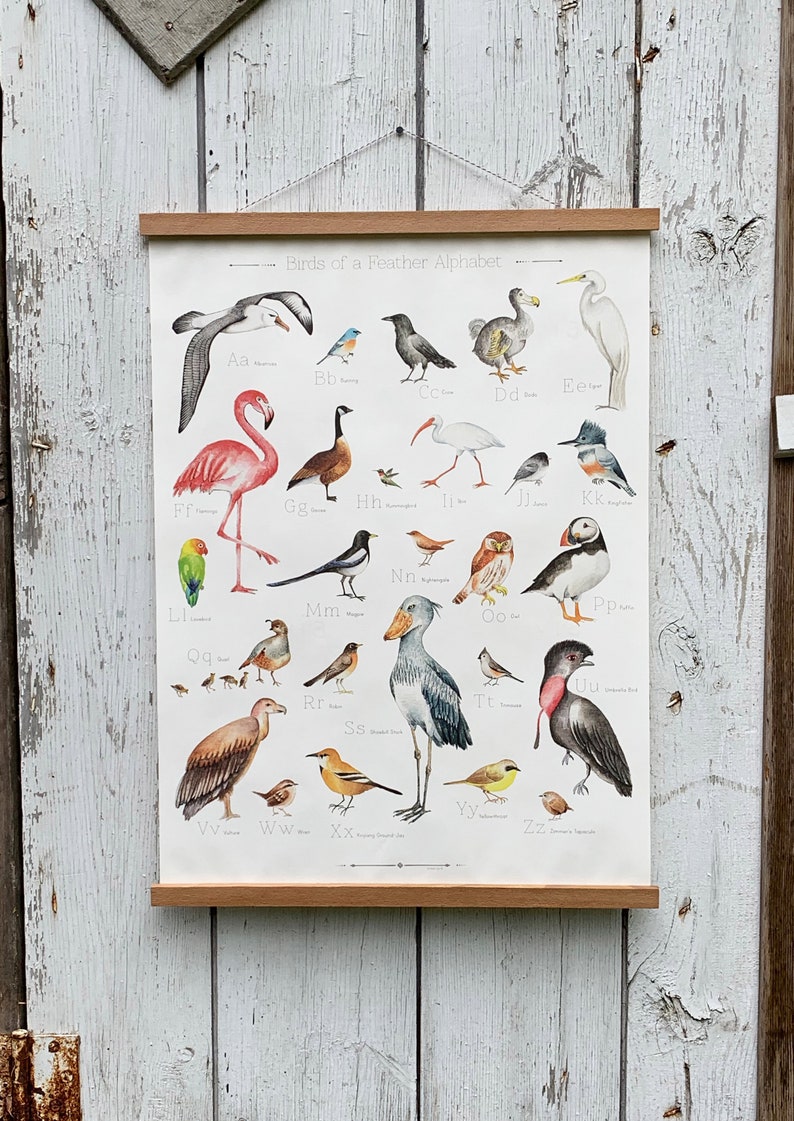 Bird Alphabet Poster - Etsy