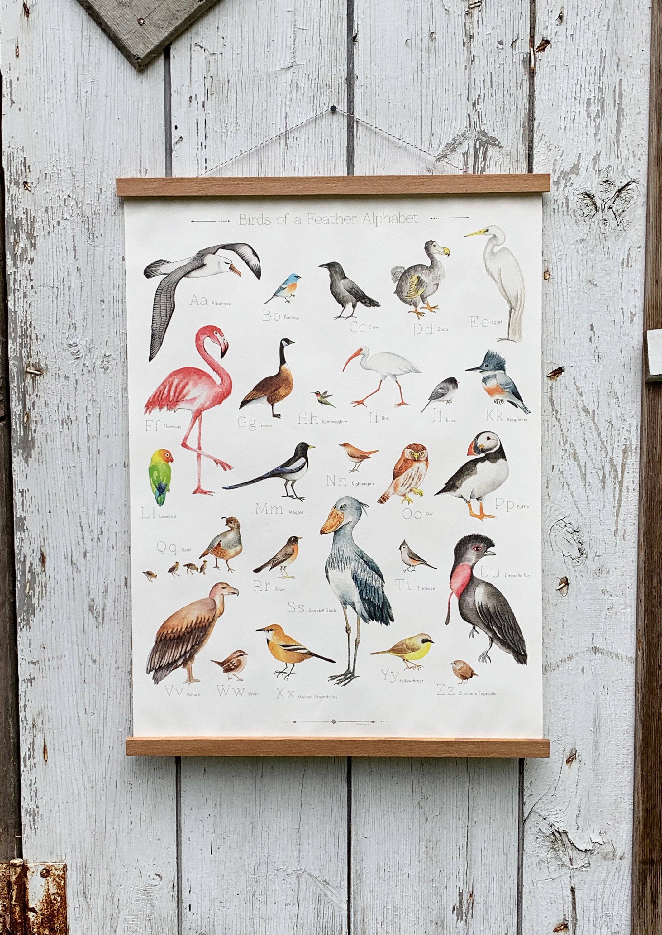 Bird Alphabet Poster - Etsy
