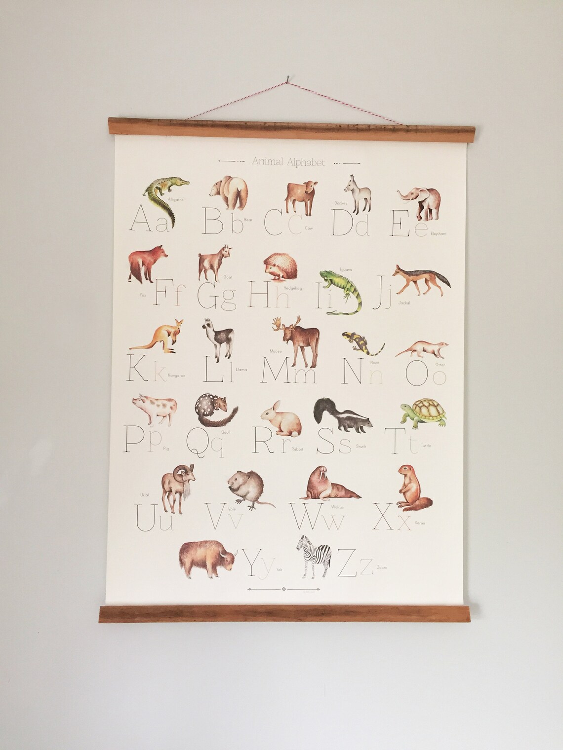 Animal Alphabet Poster - Etsy