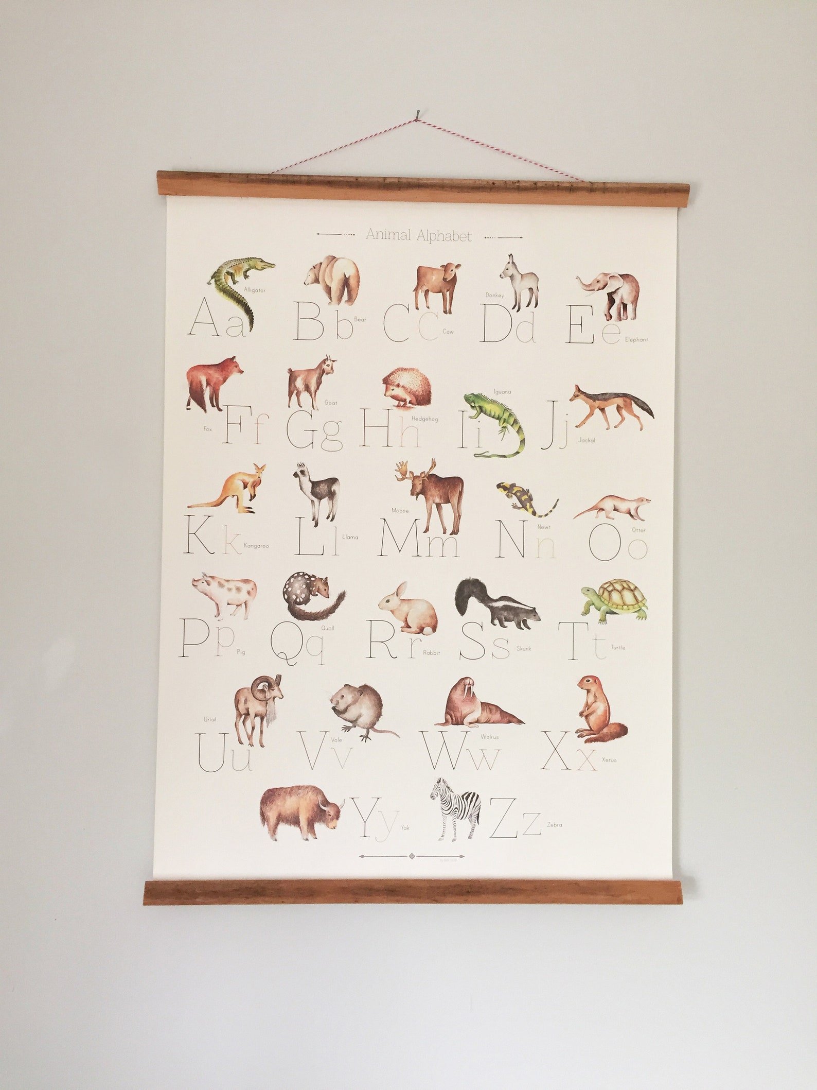 Animal Alphabet Poster - Etsy