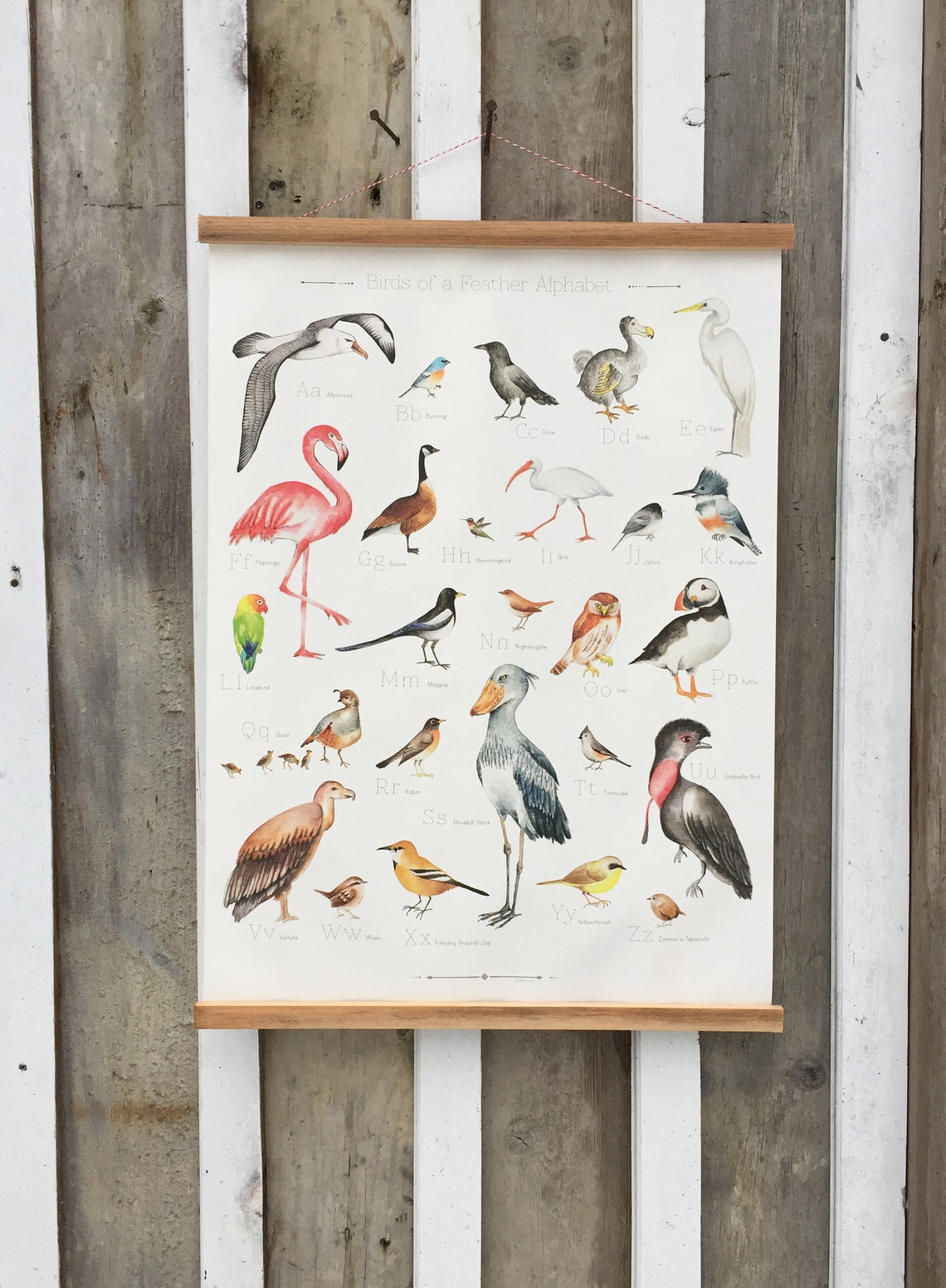 Bird Alphabet Poster - Etsy