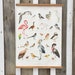 Bird Alphabet Poster - Etsy