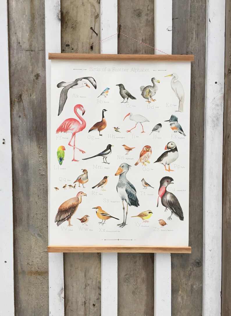 Bird Alphabet Poster - Etsy