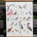 Bird Alphabet Poster - Etsy