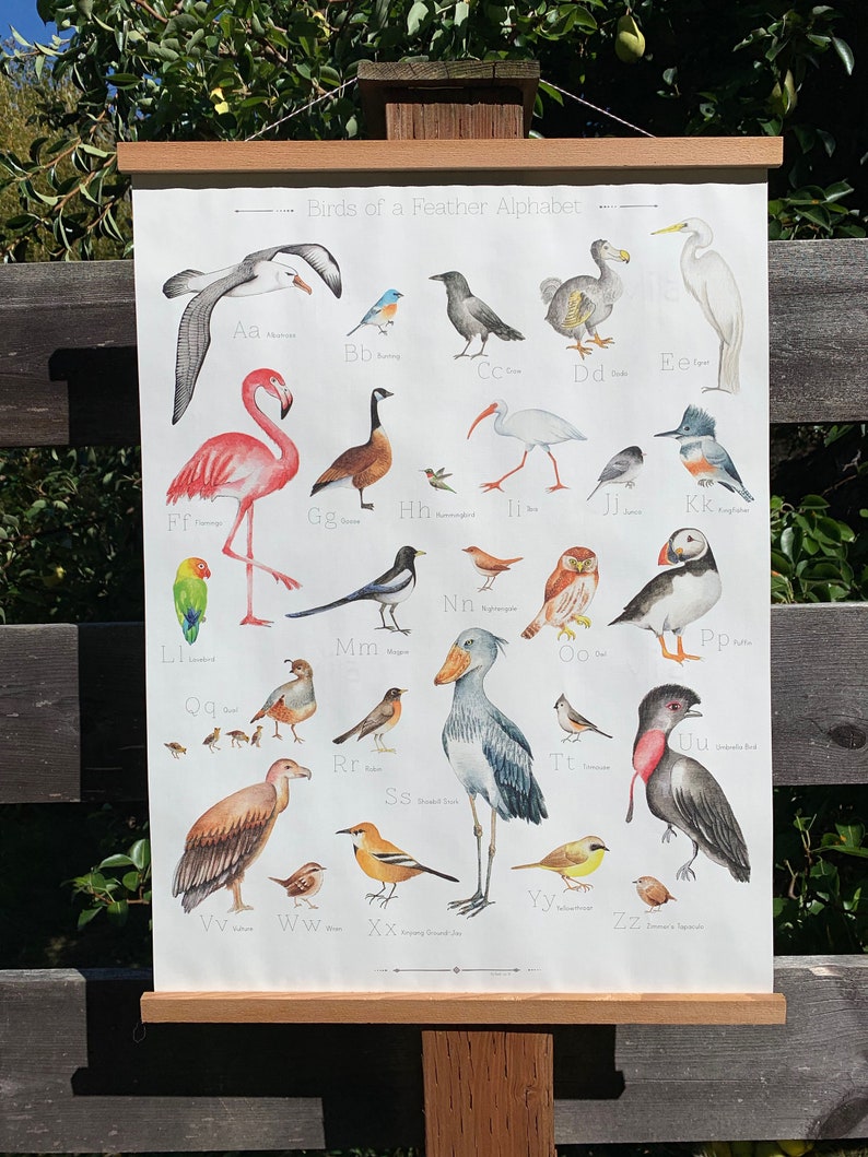 Bird Alphabet Poster - Etsy