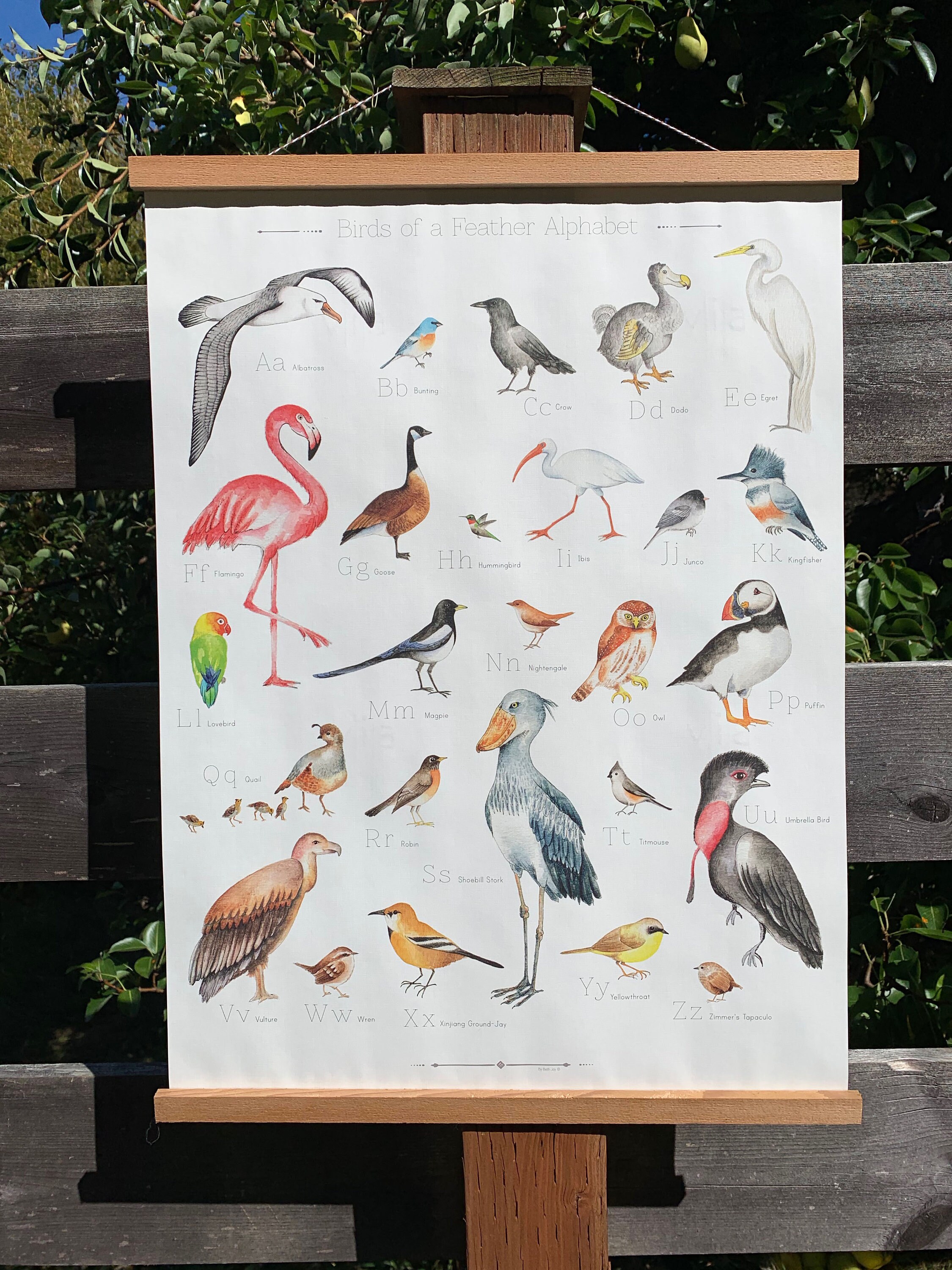 Bird Alphabet Poster - Etsy