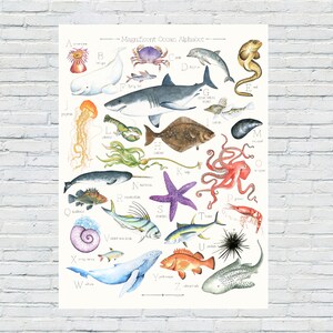 Ocean Alphabet Poster - Etsy
