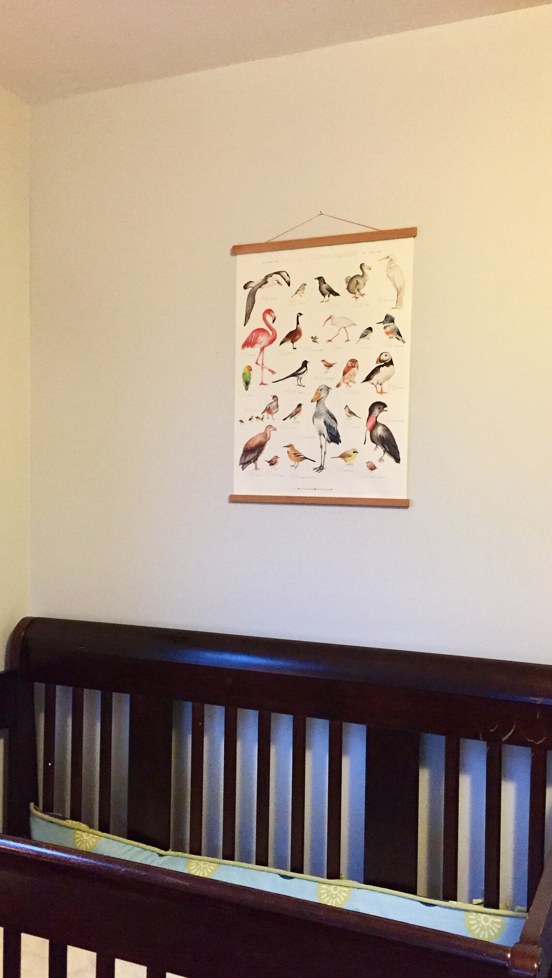 Bird Alphabet Poster - Etsy