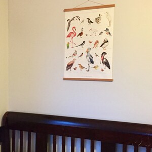 Bird Alphabet Poster - Etsy