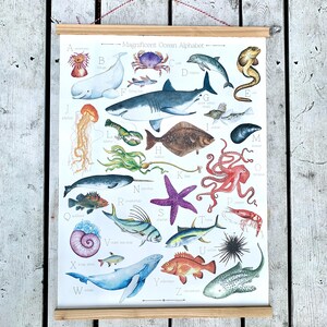 Ocean Alphabet Poster - Etsy