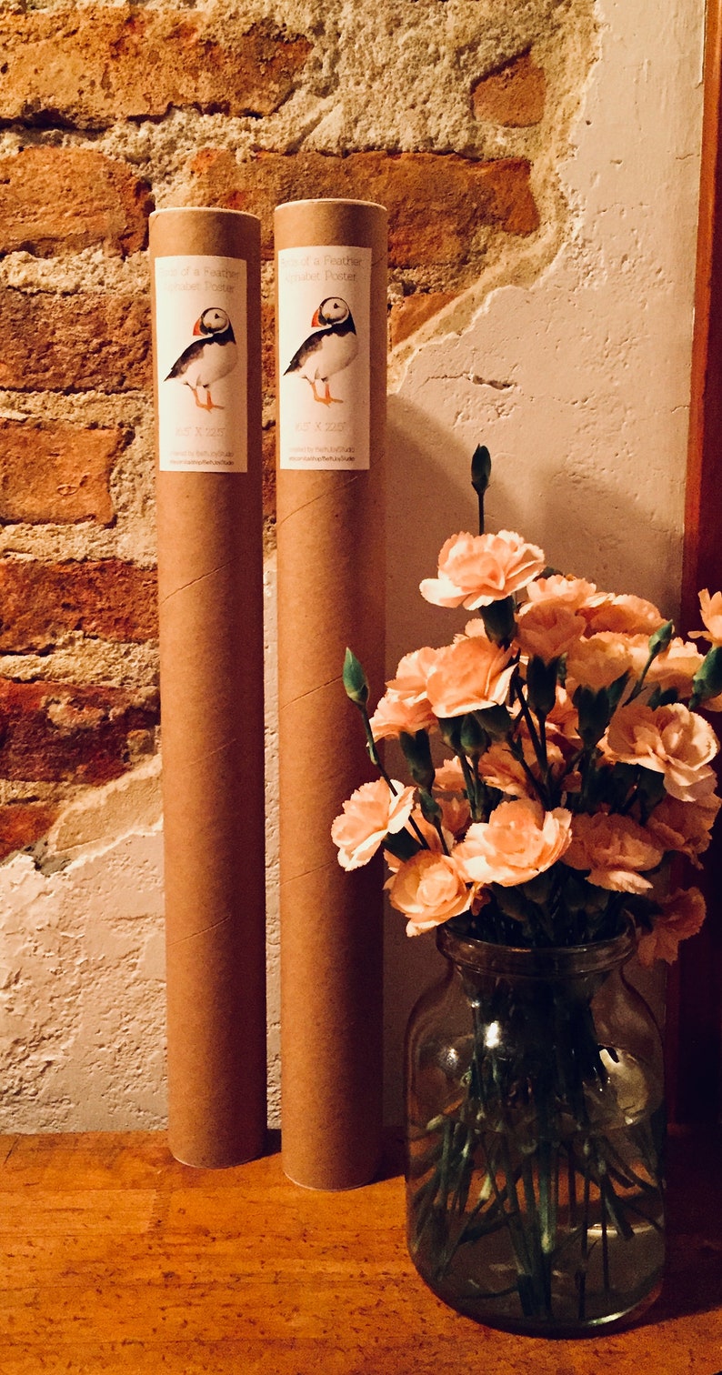 Bird Alphabet Poster - Etsy