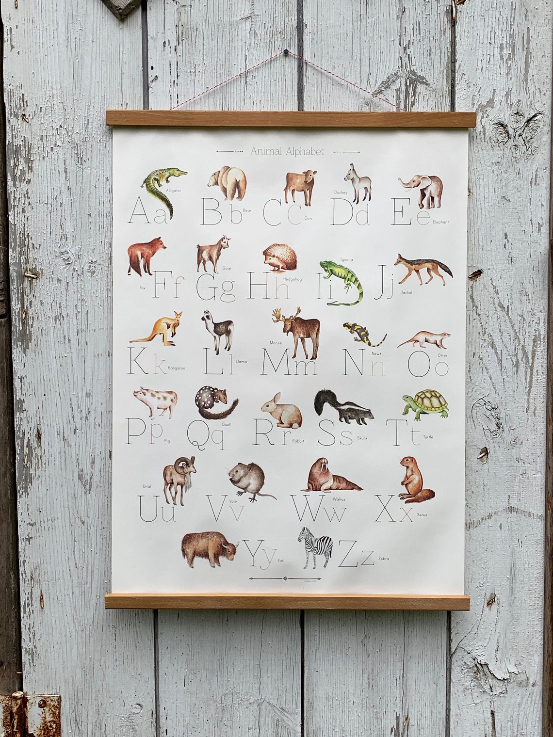 Animal Alphabet Poster - Etsy