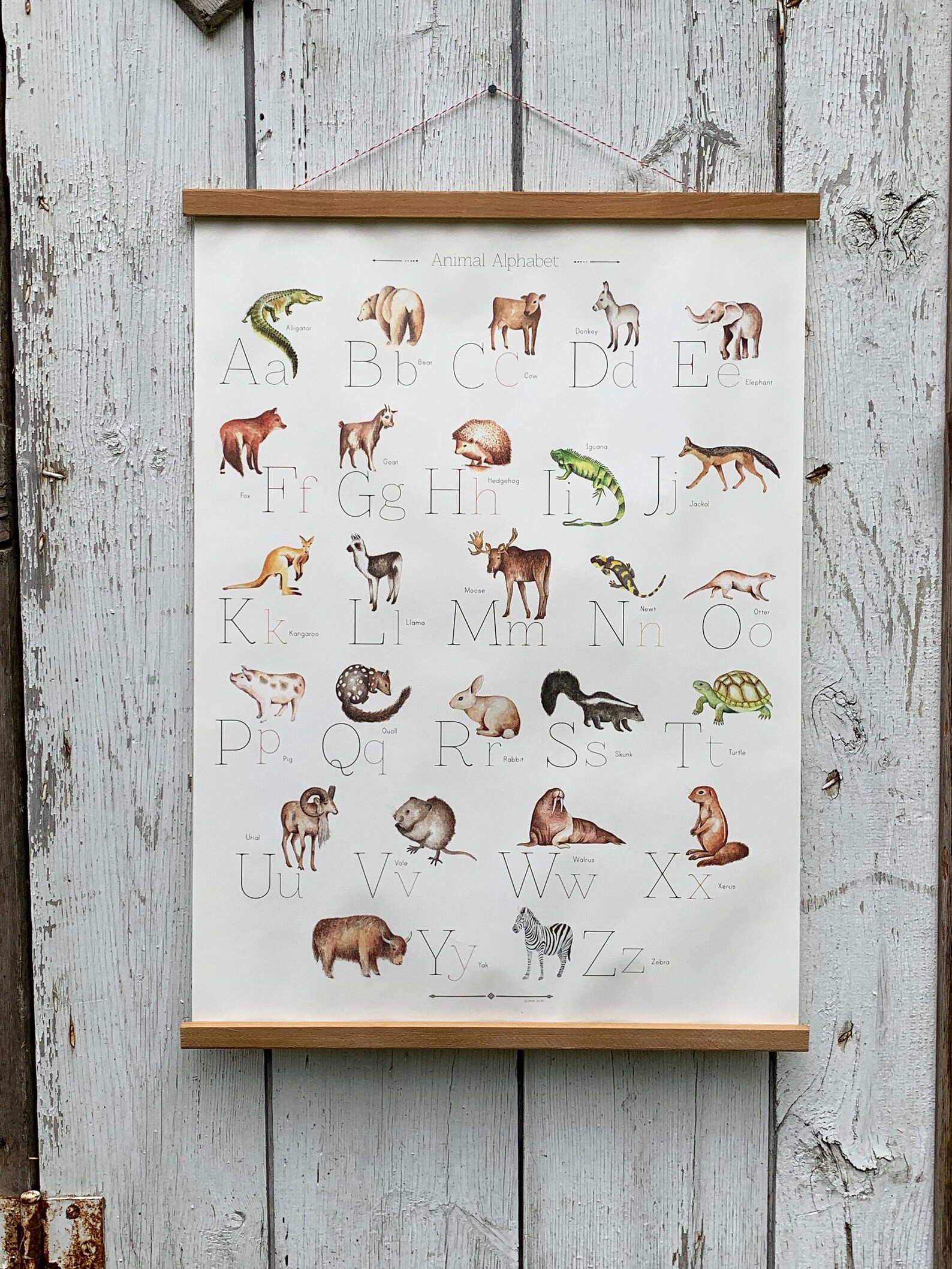Animal Alphabet Poster - Etsy