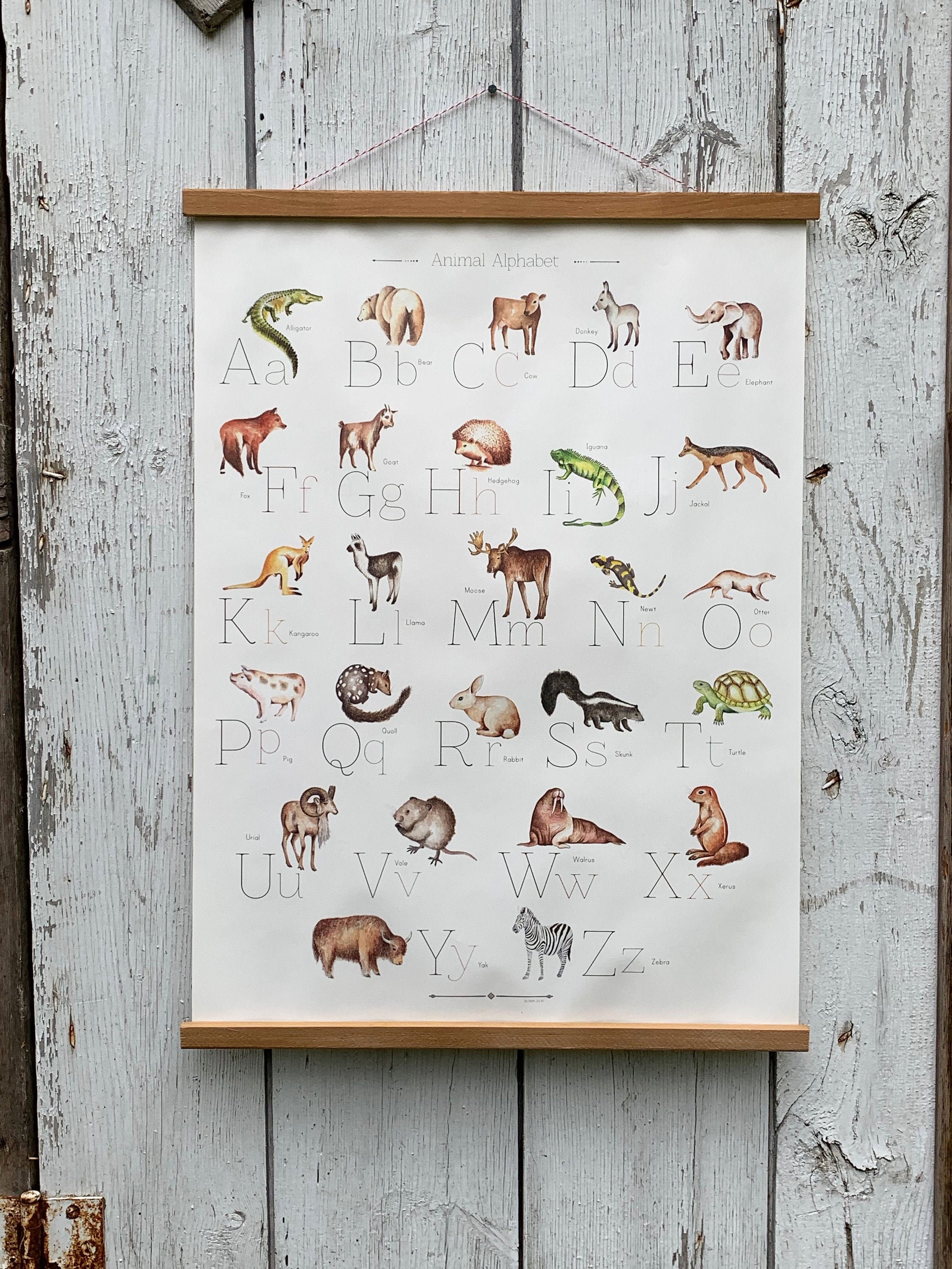 Animal Alphabet Poster - Etsy