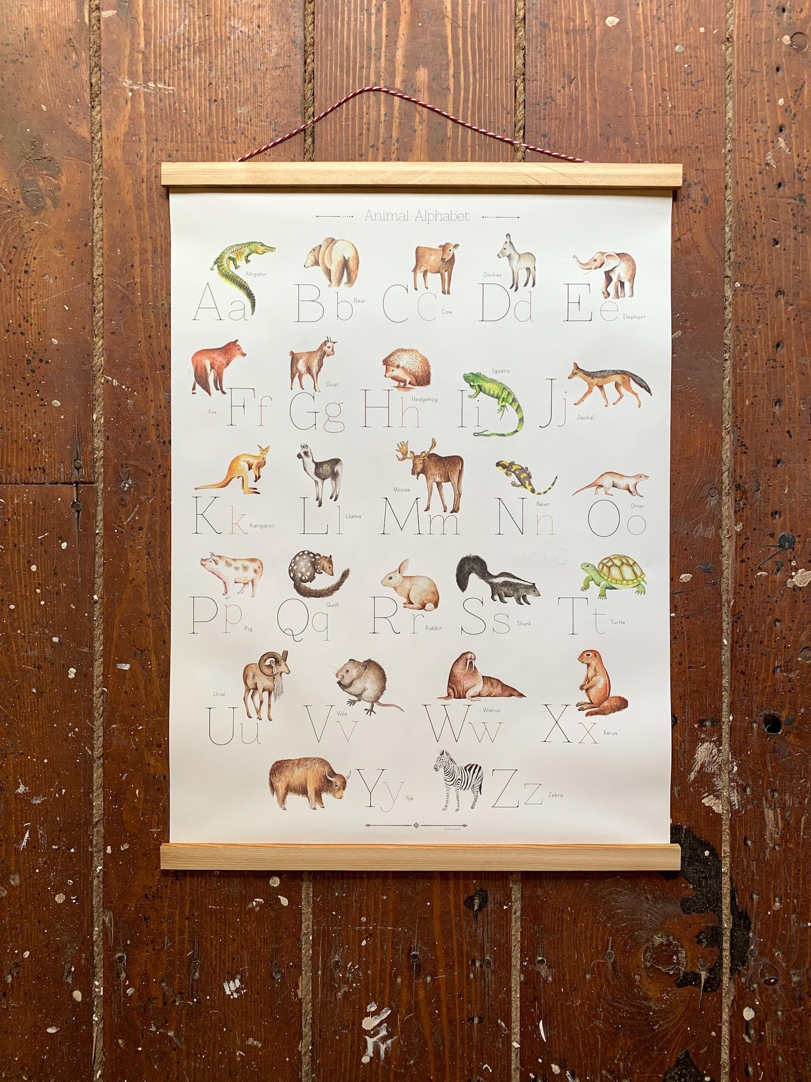 Animal Alphabet Poster - Etsy