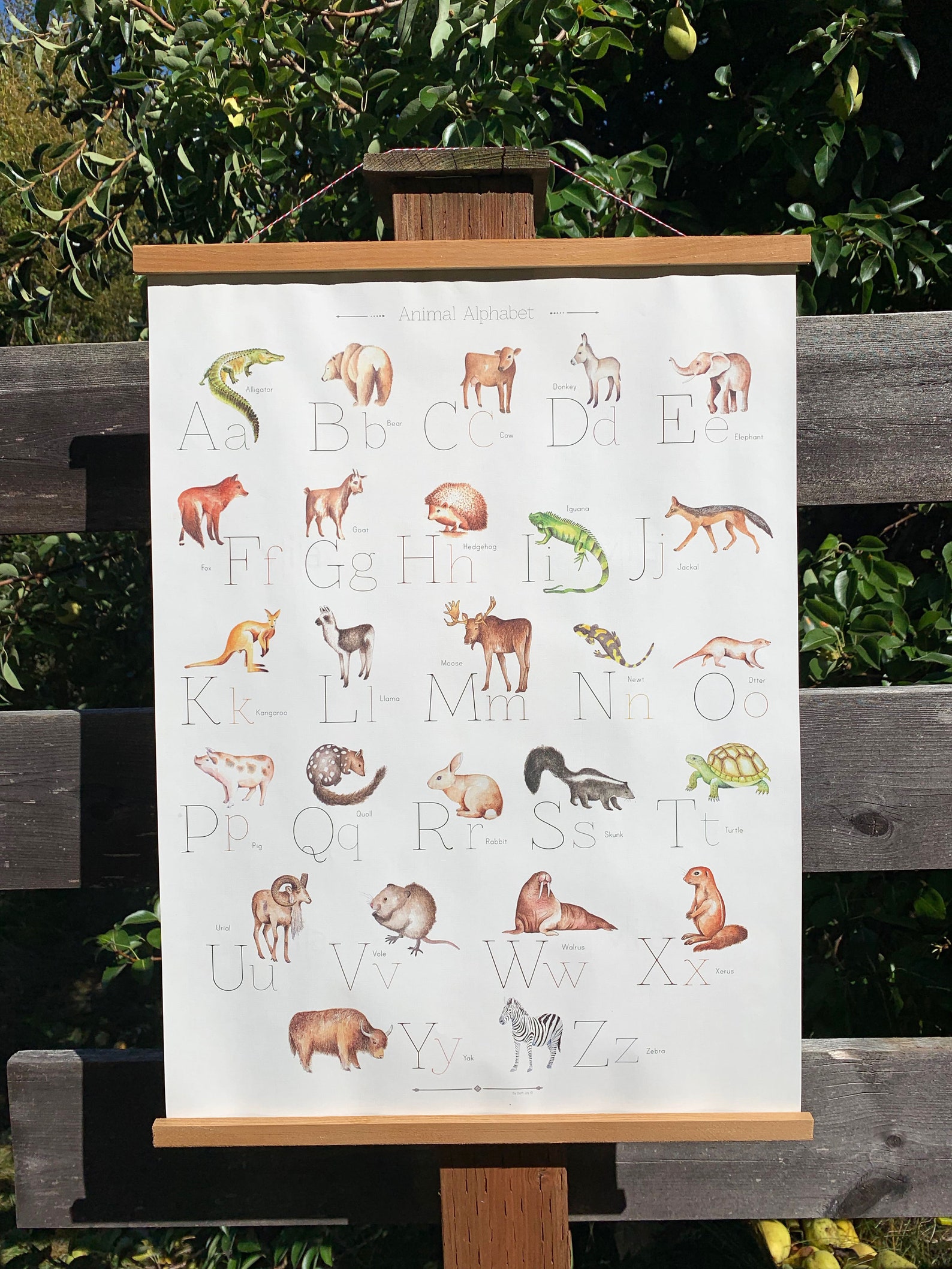 Animal Alphabet Poster - Etsy