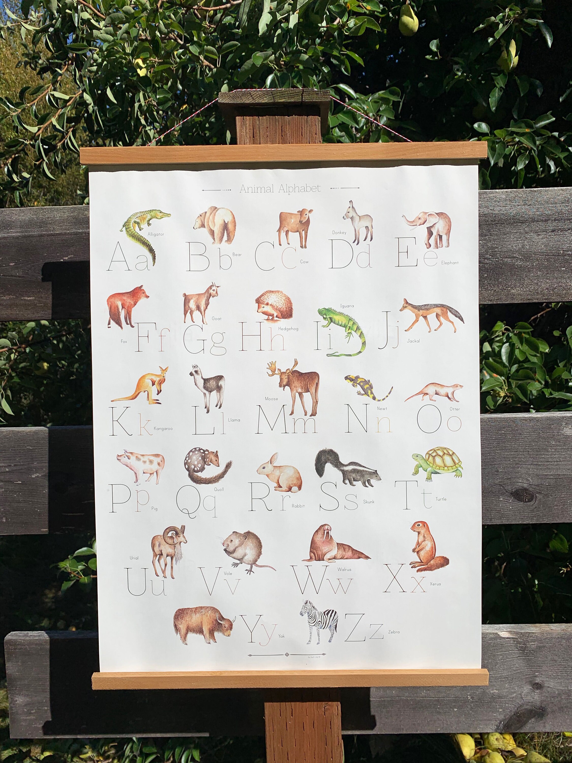 Animal Alphabet Poster - Etsy
