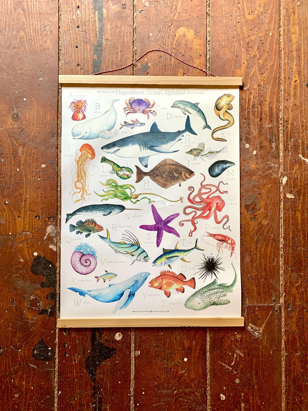 Ocean Alphabet Poster - Etsy