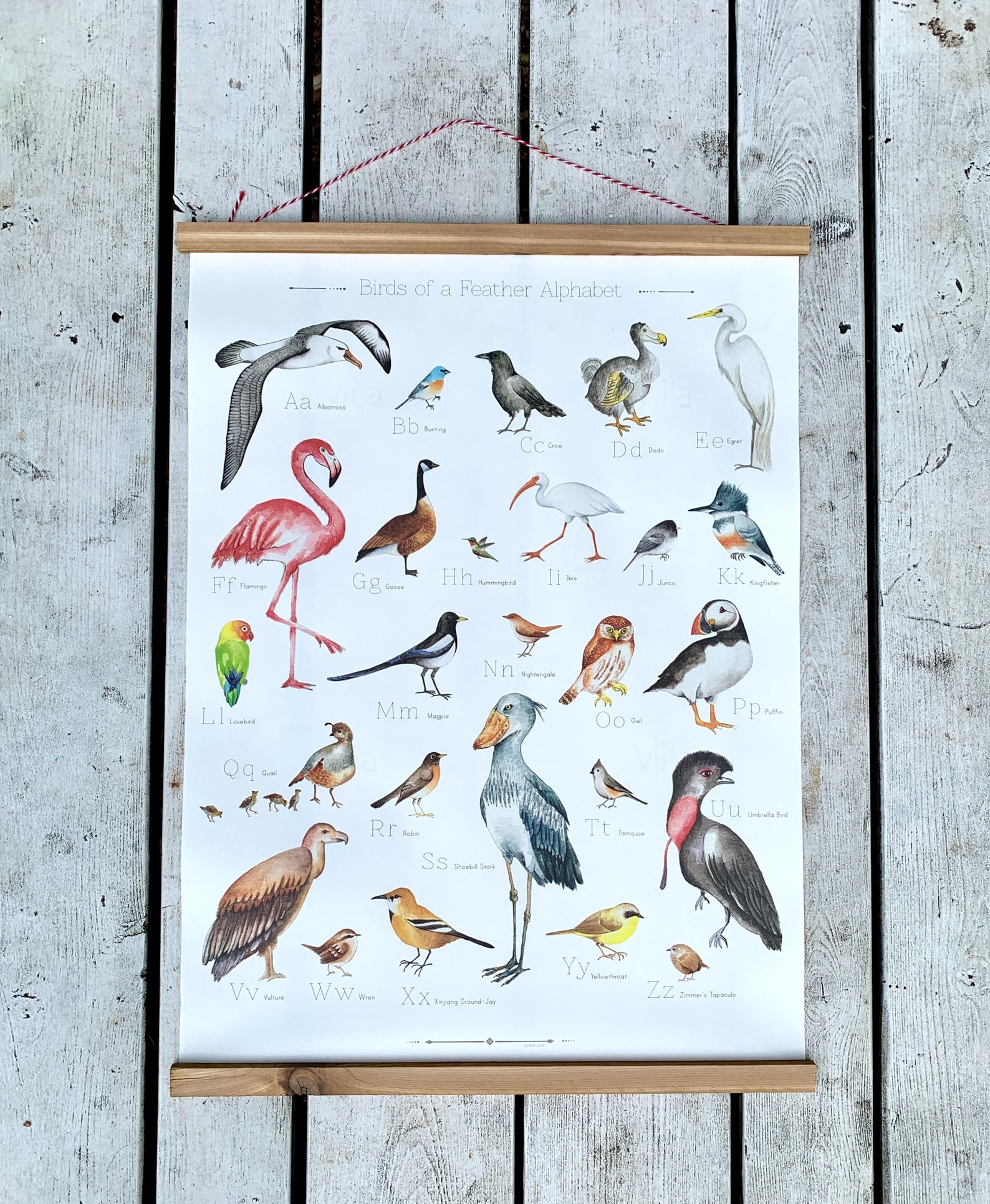 Bird Alphabet Poster - Etsy