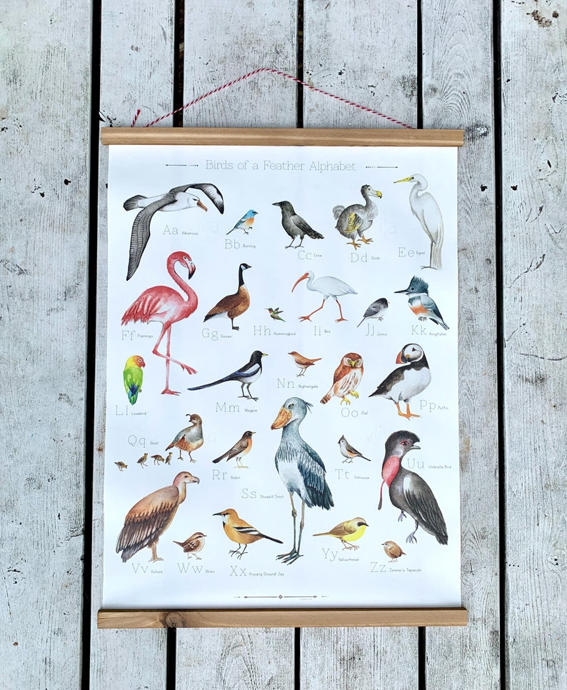 Bird Alphabet Poster - Etsy