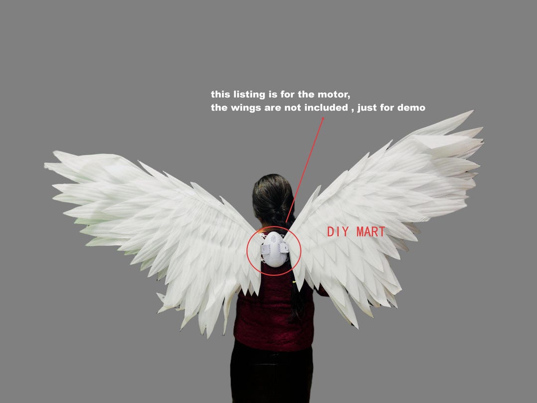 Handcrafted Modified Synchronized Electric Wing Opener - Movable Wing ...