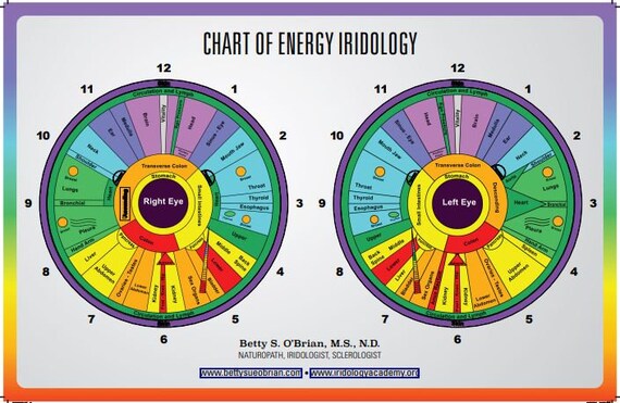 Iridology Chart of the Chakras - Etsy