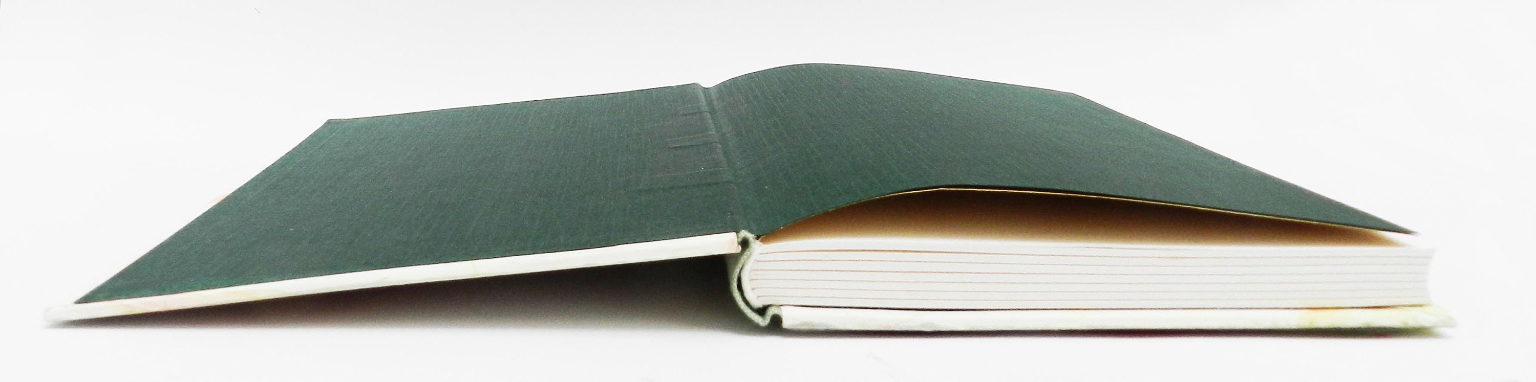 Blank Book. Hard Cover and Back Cover Notebook Covered With a Unique ...