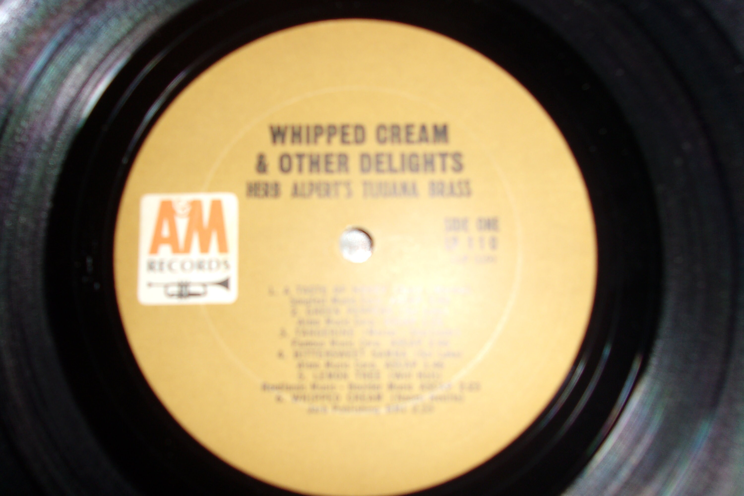 Herb Alpert & the Tijuana Brass whipped Cream and Other Delights - Etsy