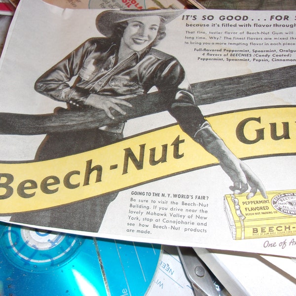 Beech Nut - Etsy
