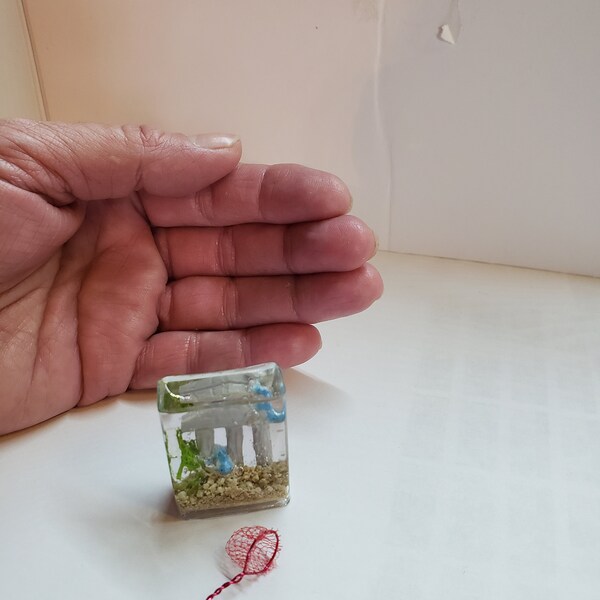 Dollhouse Fish Tank - Etsy