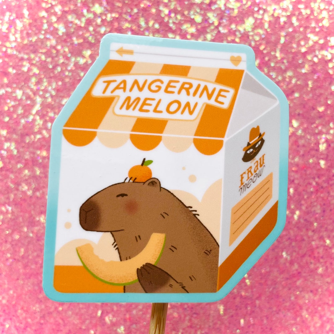 Capybara Milk Carton Sticker - Etsy