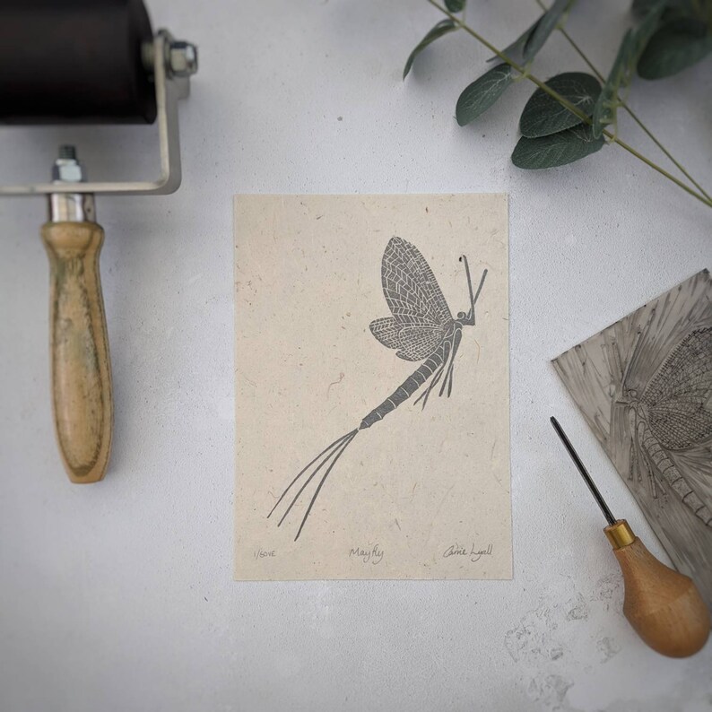 Mayfly Limited Edition Linocut Print, Insect Wall Art, Fly Fishing ...