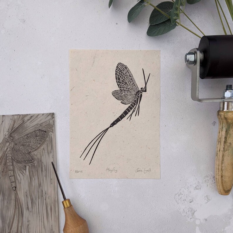 Mayfly Limited Edition Linocut Print Insect Wall Art Fly | Etsy