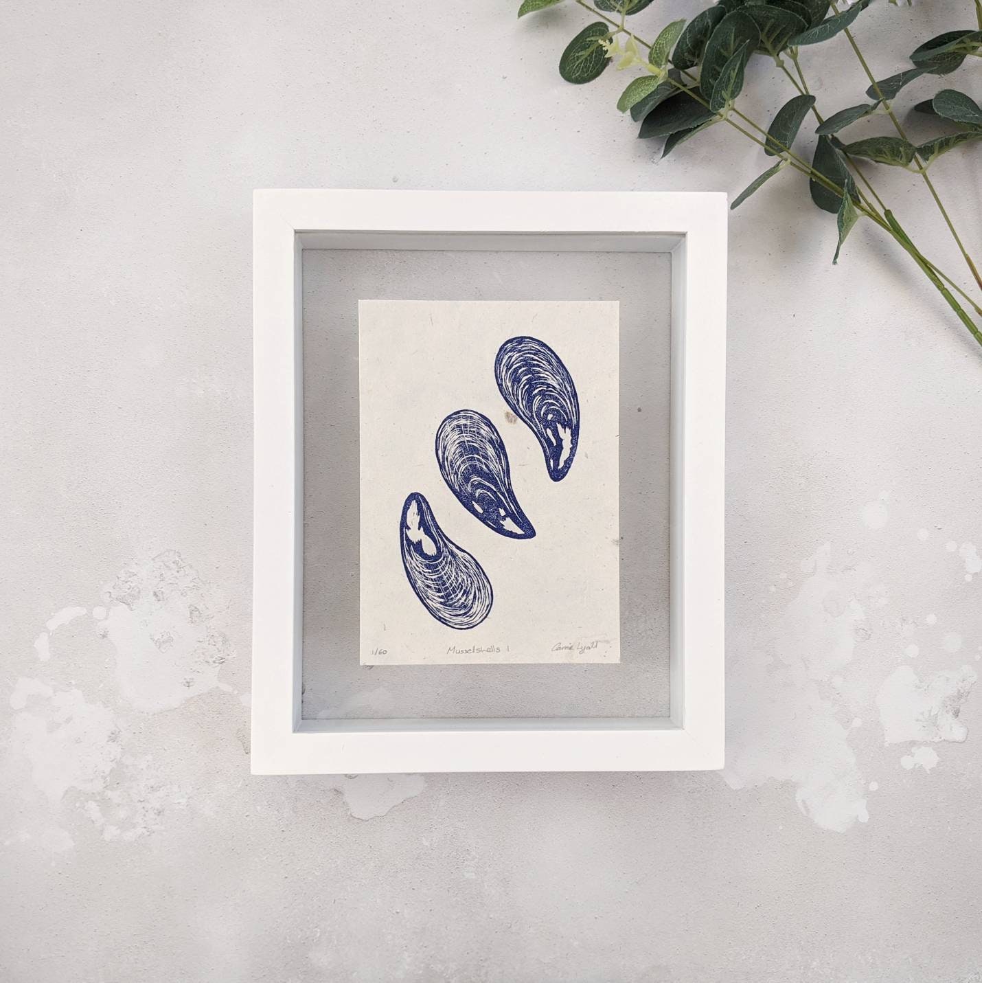 Mussel Shell Linocut Print Seashell Print Wall Decor - Etsy UK